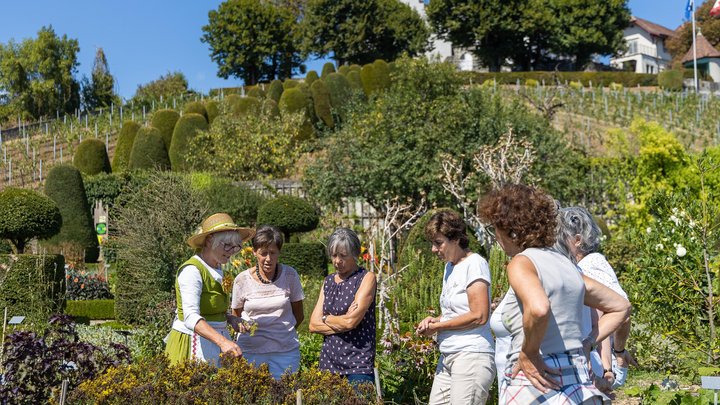 Schloss Wildegg – Barockes Schloss- und Gartenerlebnis – Museum Aargau