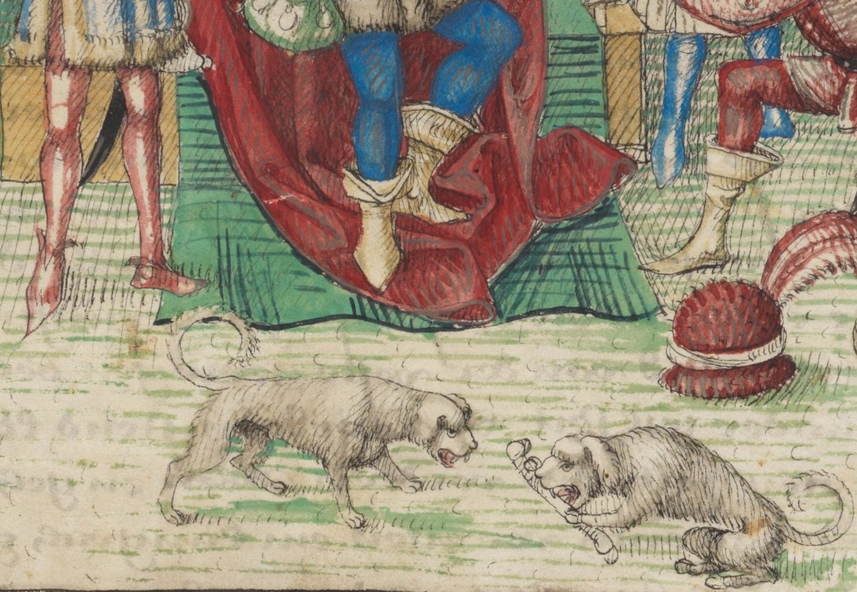 Ein ausgestorbenes Natur-Spektakel: Seegfrörni auf dem Hallwilersee ...